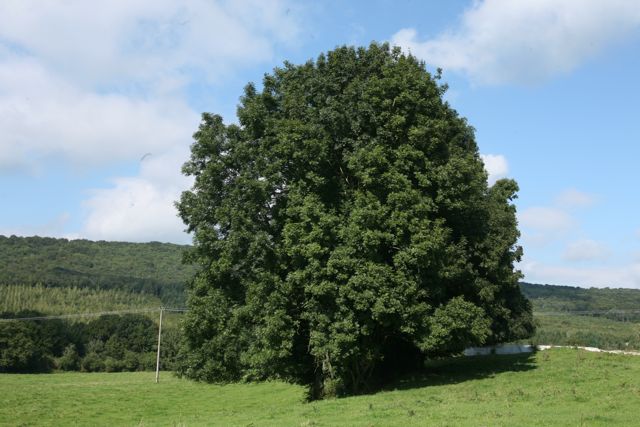 Courtetain-et-Salans (25530) , Canton de Courtetain-et-Salans, Le Doubs ... Courtetain-et-Salans (25530) , Canton de Courtetain-et-Salans, Le Doubs ...