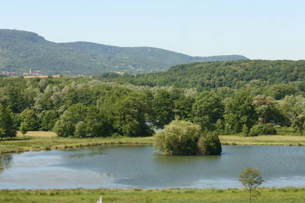 Thurey-le-Mont (25870) , Canton de Thurey-le-Mont, Le Doubs, La route ...